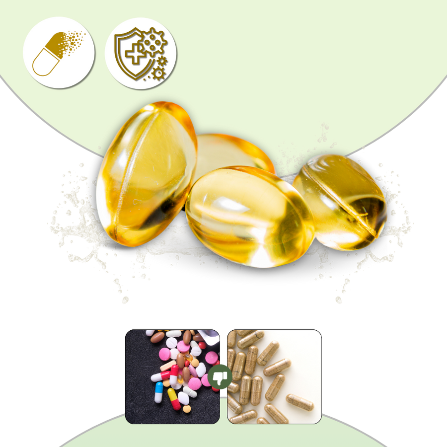 Huile d'origan en capsules | Supplément d'origan | Gellules d'huile d ...